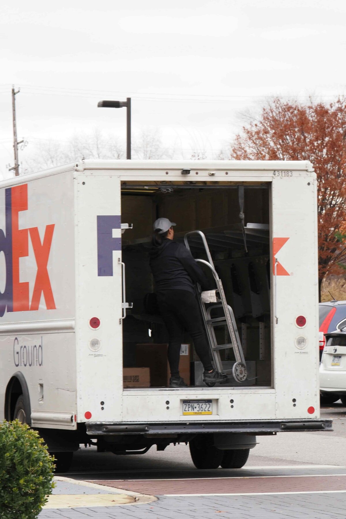 FedEx Pet Shipping: What You Need to Know About Costs and Services