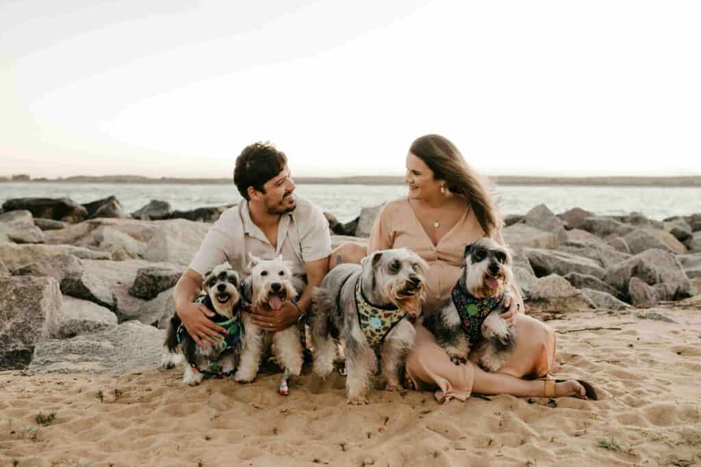 How to Move a Cat or Dog to Puerto Rico | Pet Relocation
