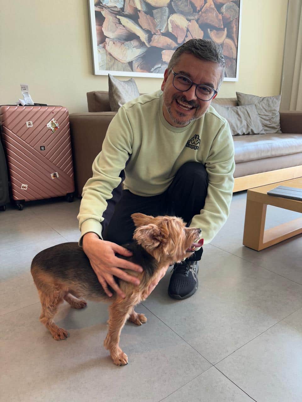 Pet Travel to Mexico | Mexico Pet Import Requirements