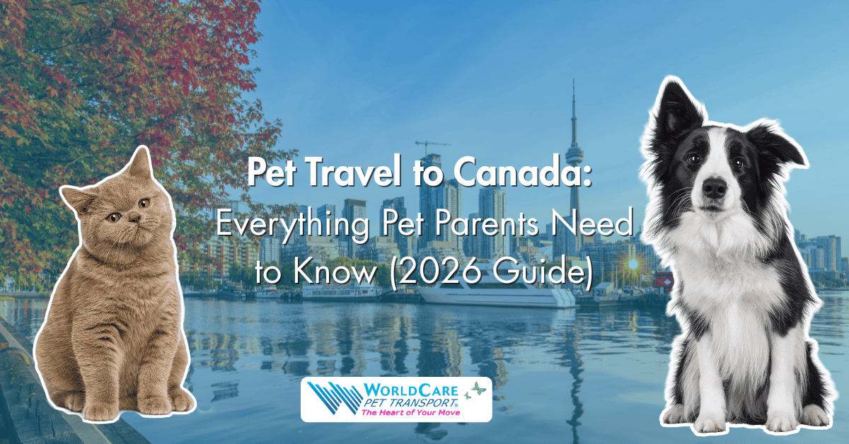 Pet Travel to Canada: Requirements & Guide (2026)