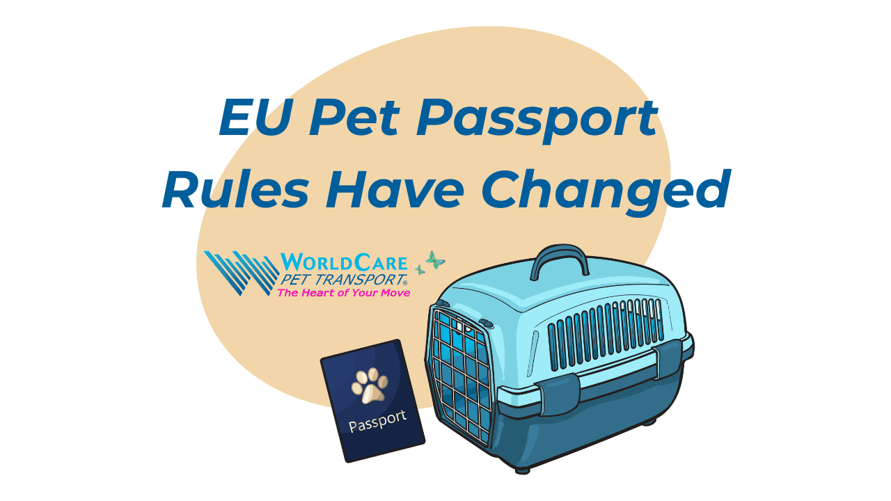EU Pet Passport Rules Changed: What Movers Must Know